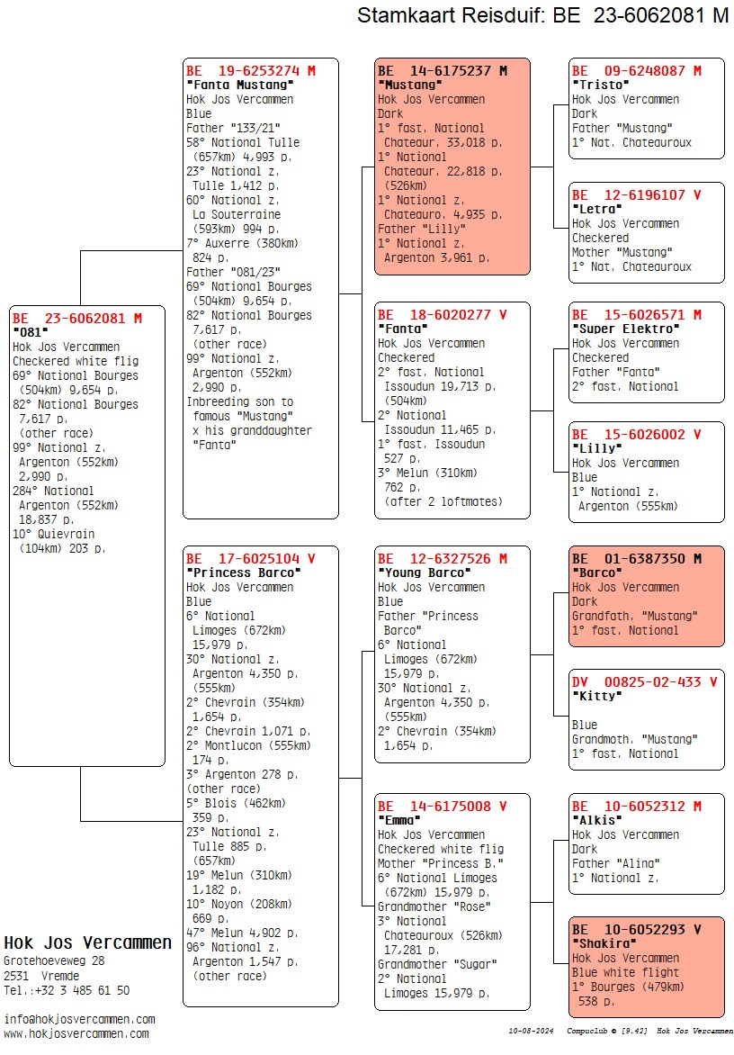 BE23-6062081 | Hok Jos Vercammen
