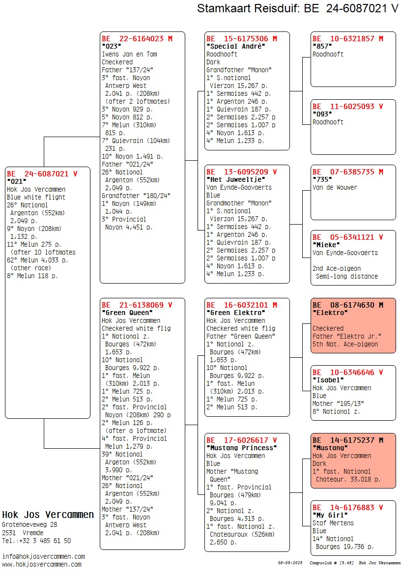 BE24-6087021 | Hok Jos Vercammen