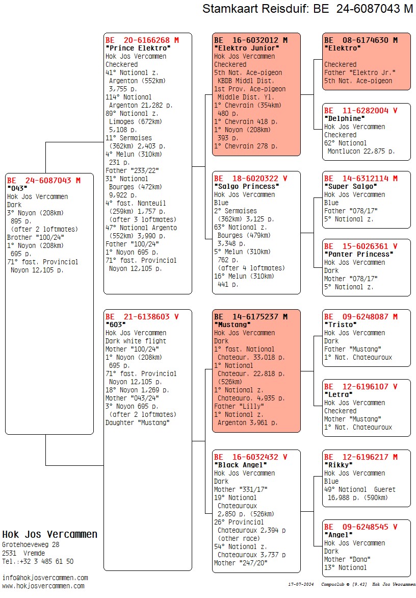 BE24-6087043 | Hok Jos Vercammen