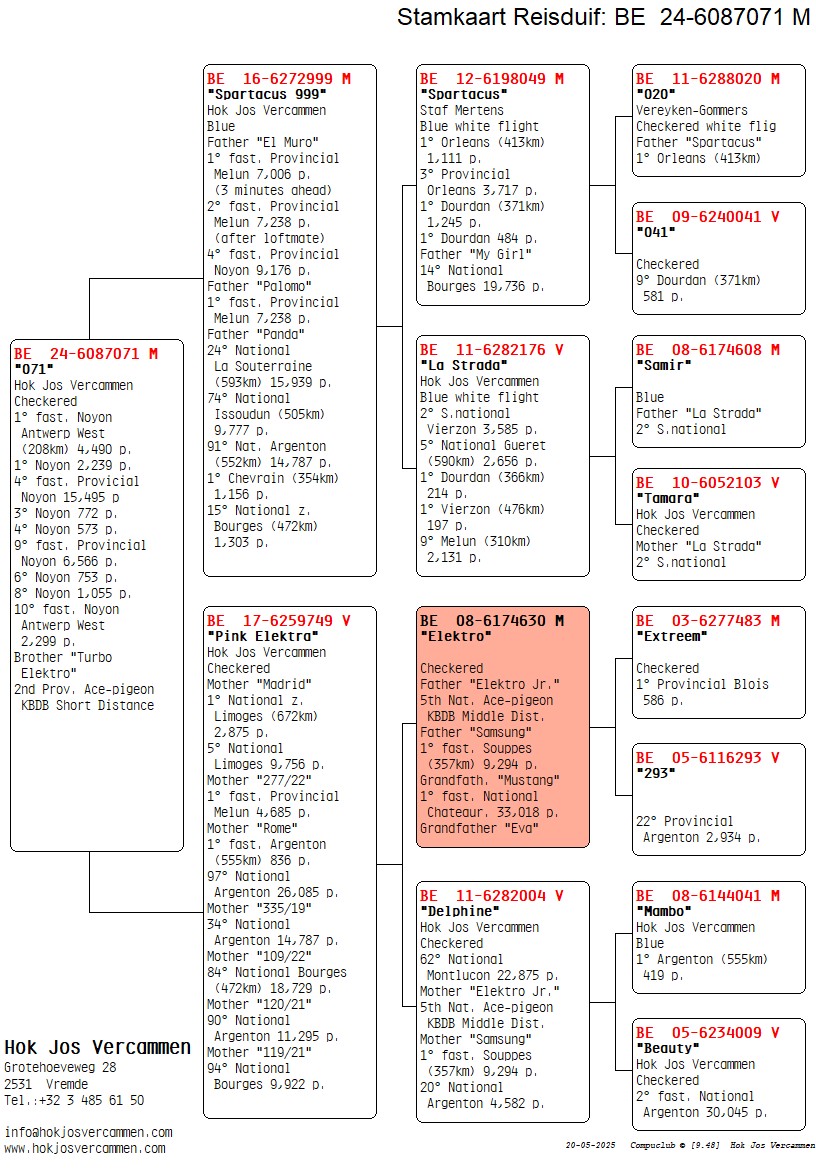 BE24-6087071 | Hok Jos Vercammen