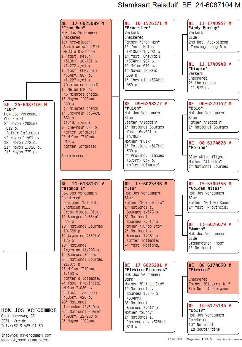 BE24-6087104 | Hok Jos Vercammen