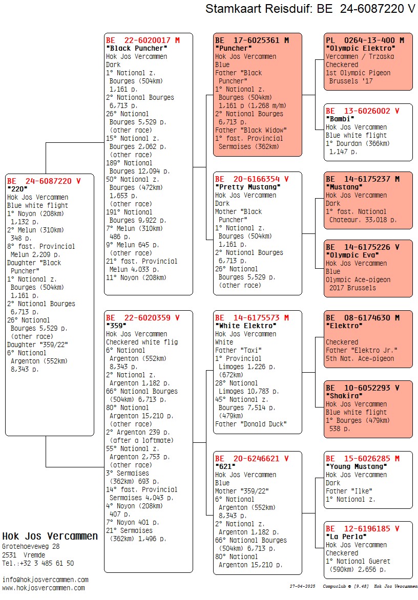 BE24-6087220 | Hok Jos Vercammen